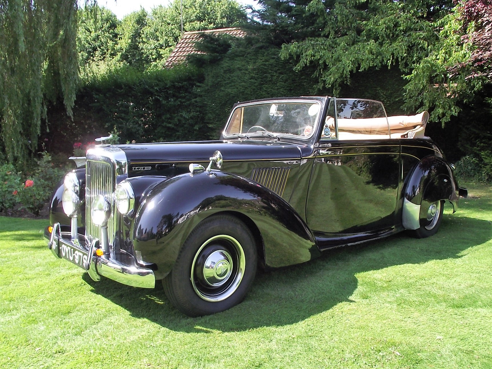Lot 62 - 1954 Alvis TC21/100 Drophead Coupe