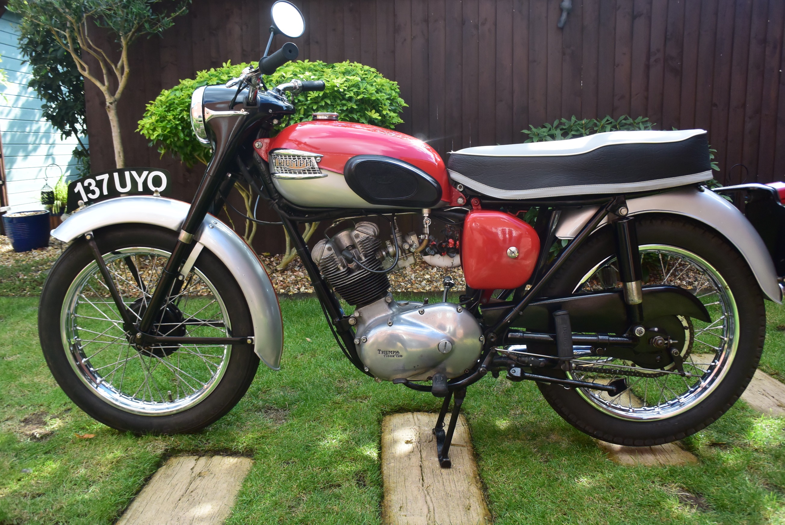 Lot 31 - 1962 Triumph Tiger Cub