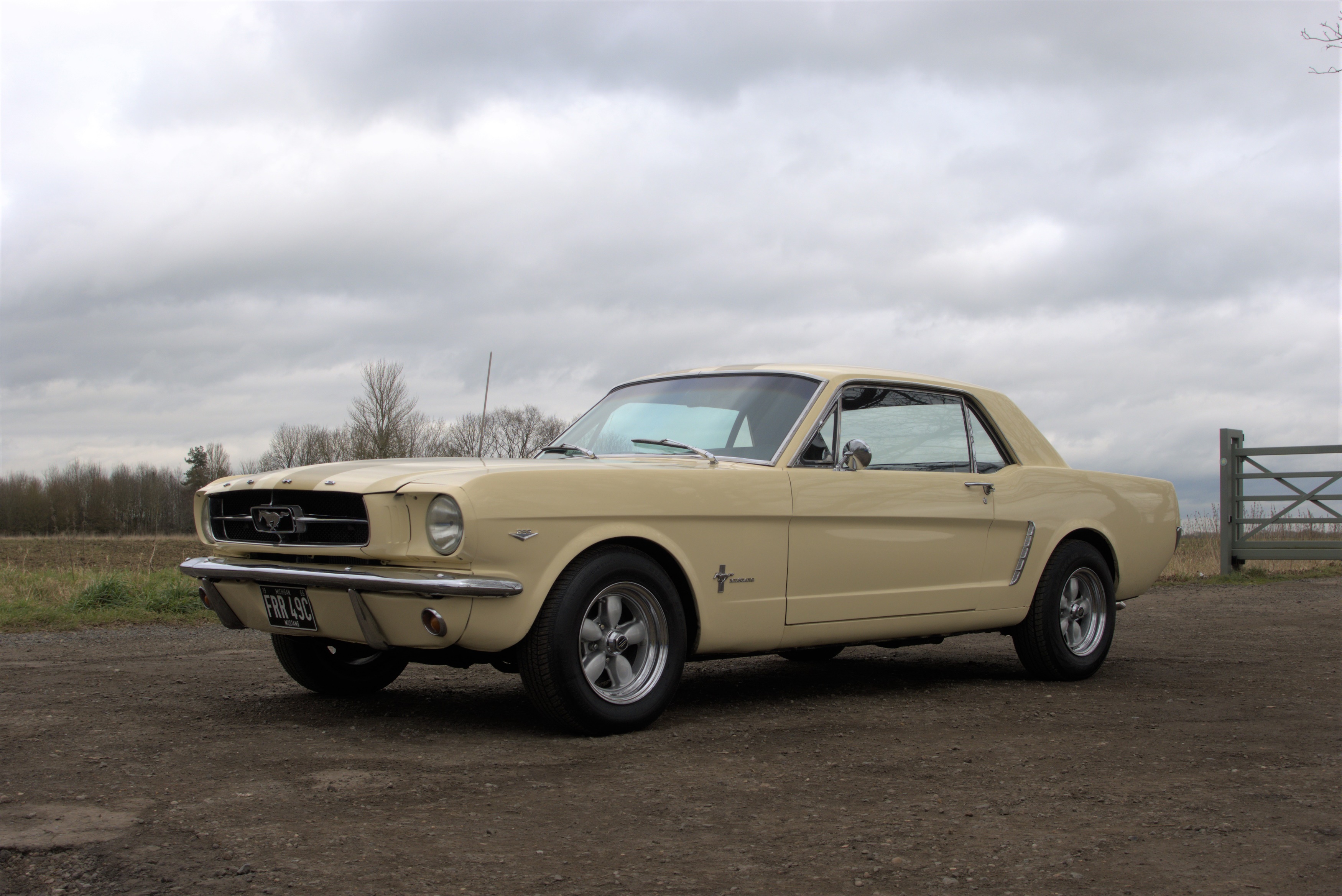Lot 69 - 1965 Ford Mustang Notchback