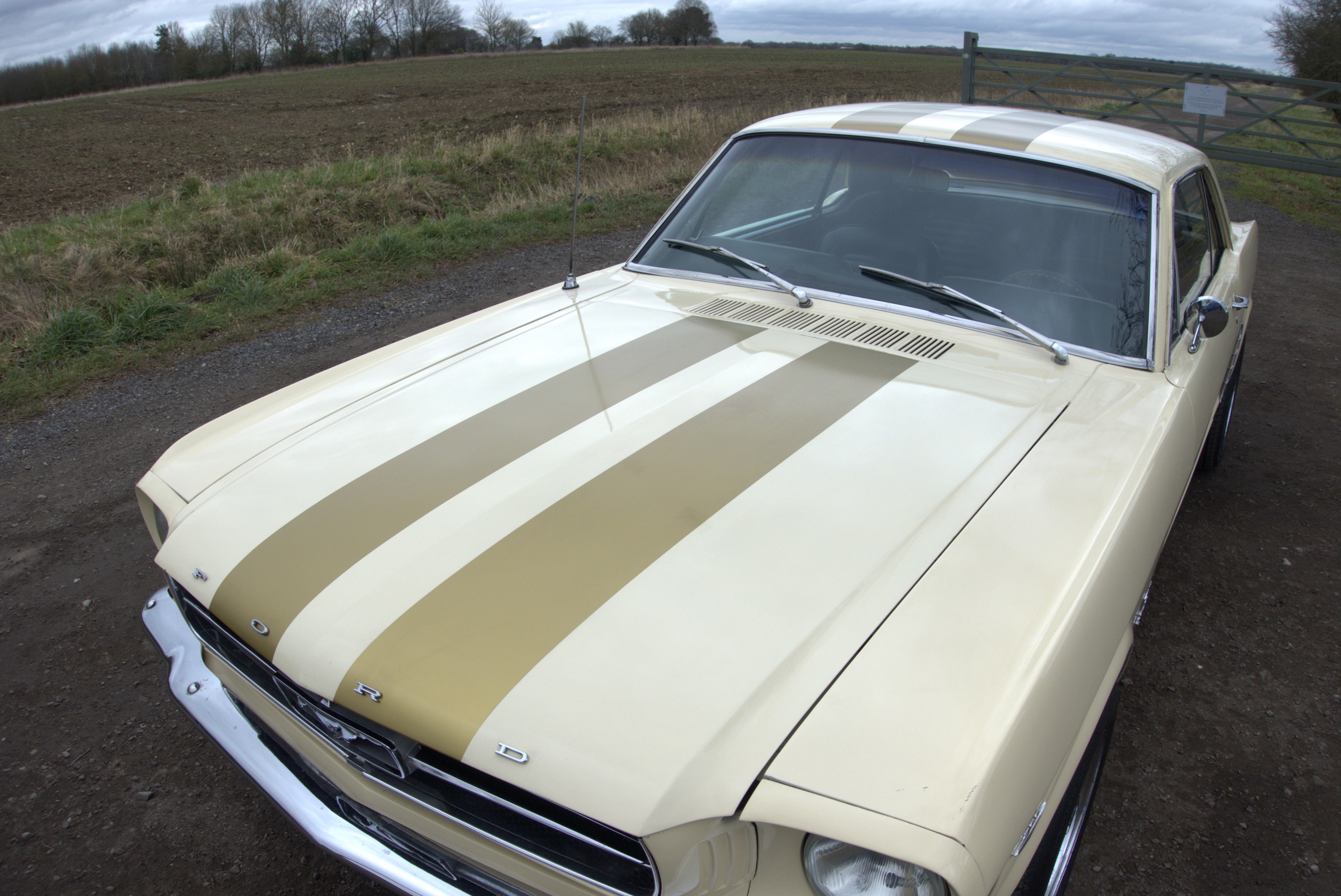 Lot 69 - 1965 Ford Mustang Notchback