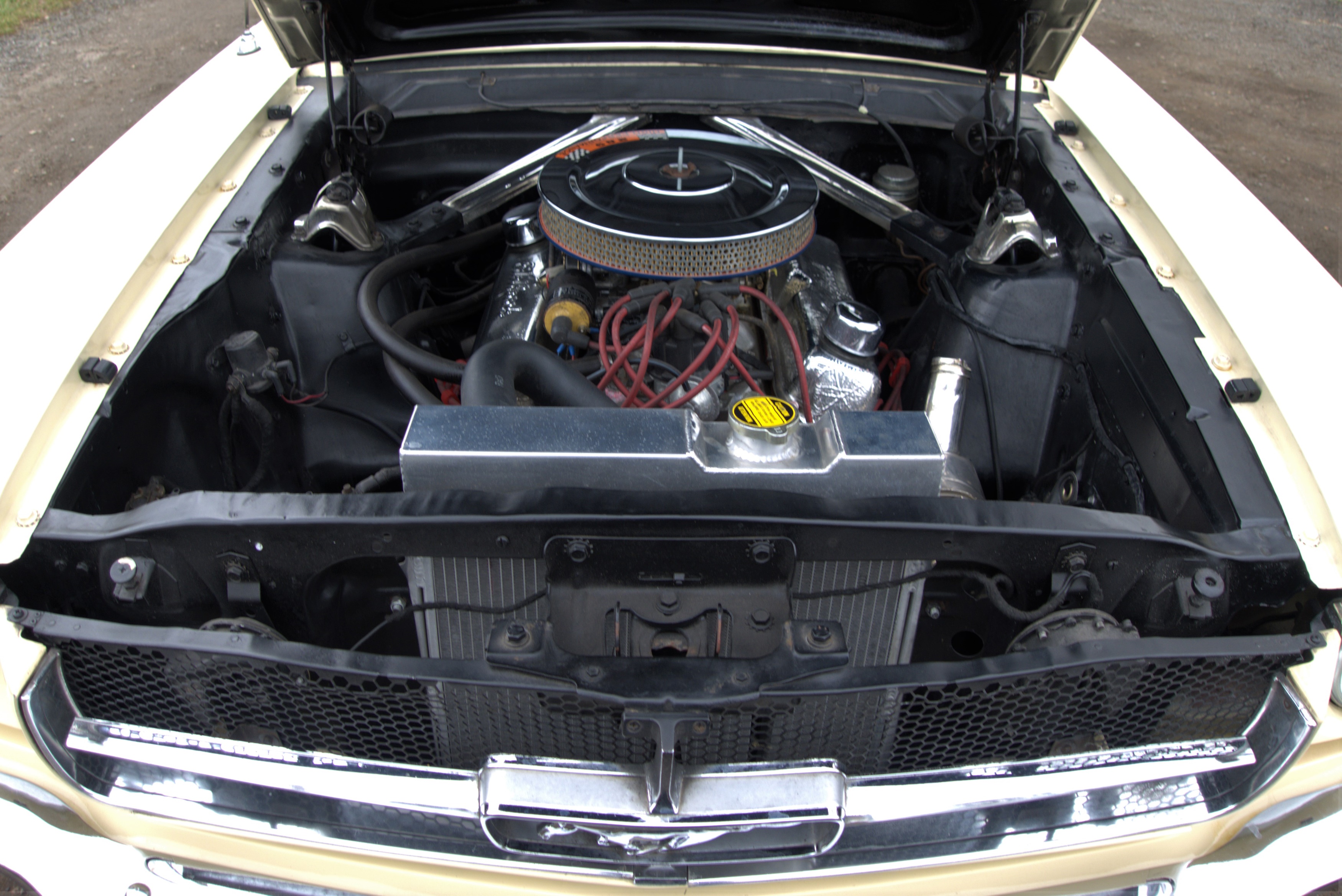 Lot 69 - 1965 Ford Mustang Notchback