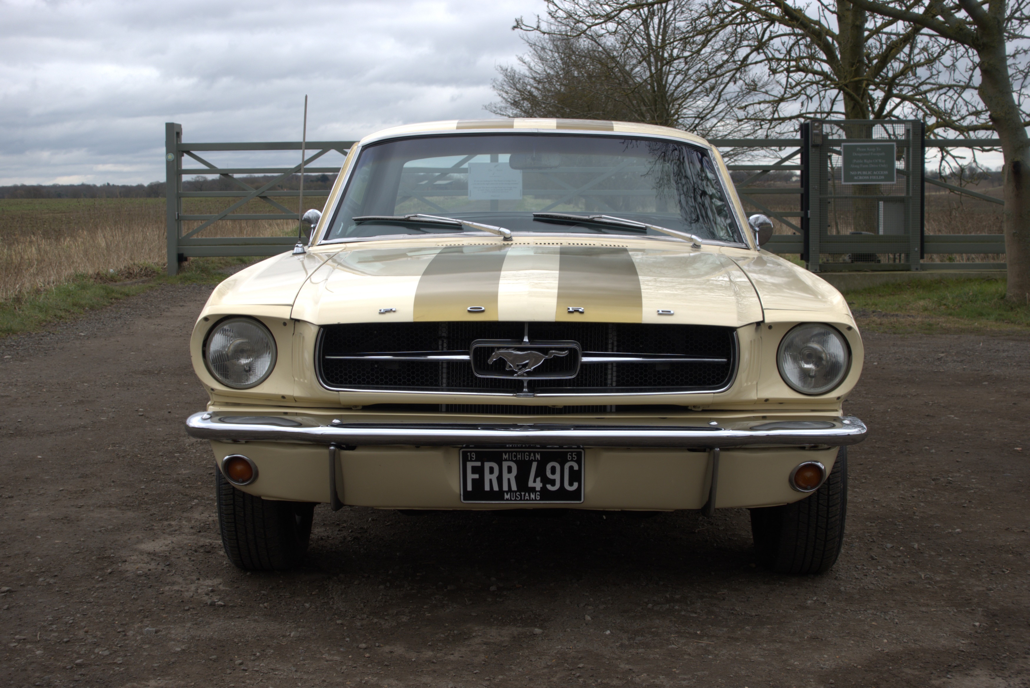 Lot 69 - 1965 Ford Mustang Notchback