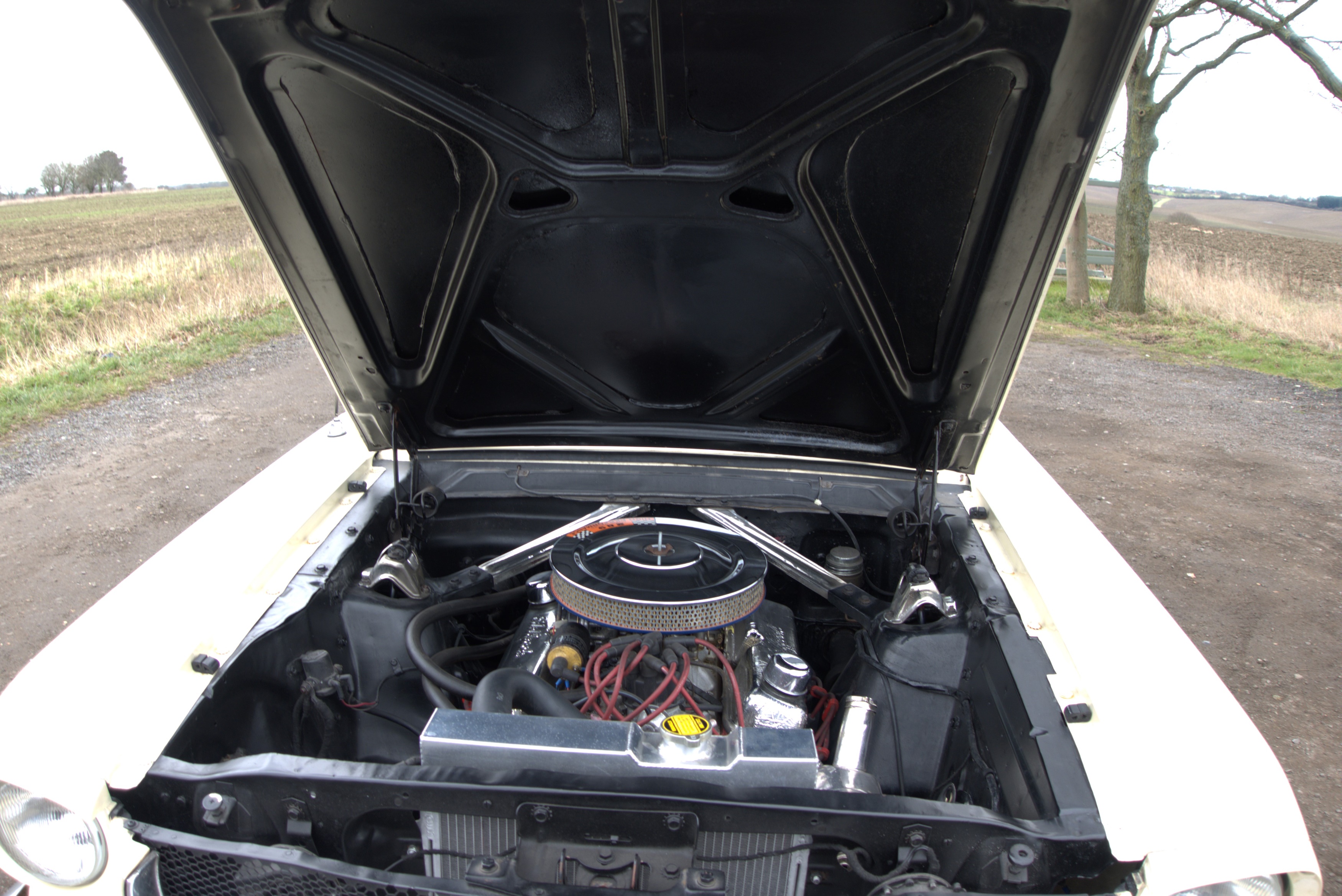 Lot 69 - 1965 Ford Mustang Notchback