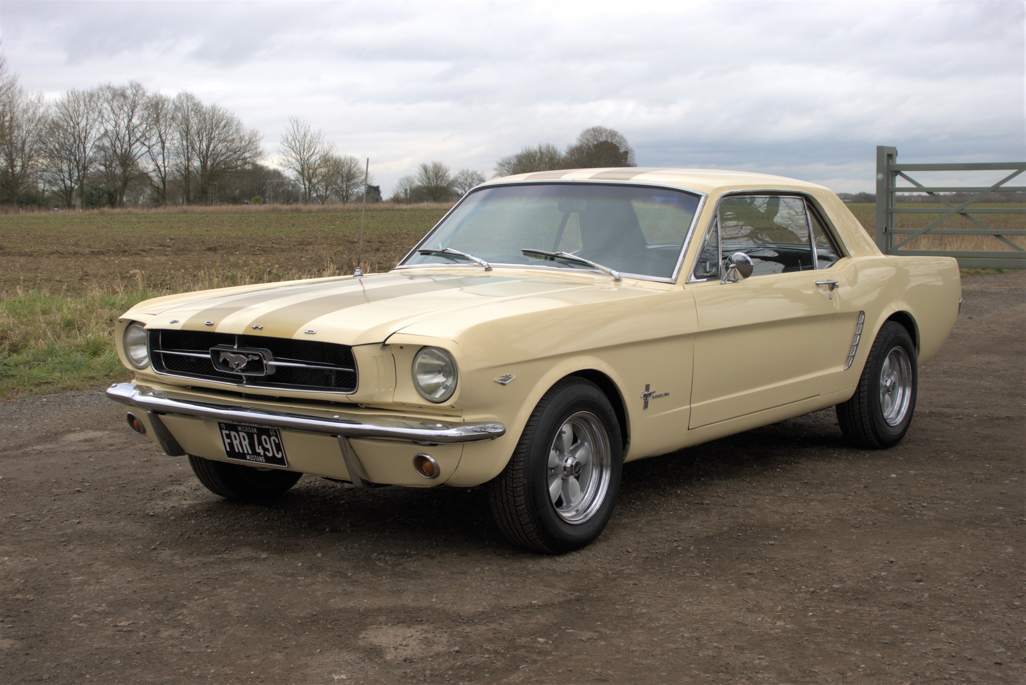 Lot 69 - 1965 Ford Mustang Notchback
