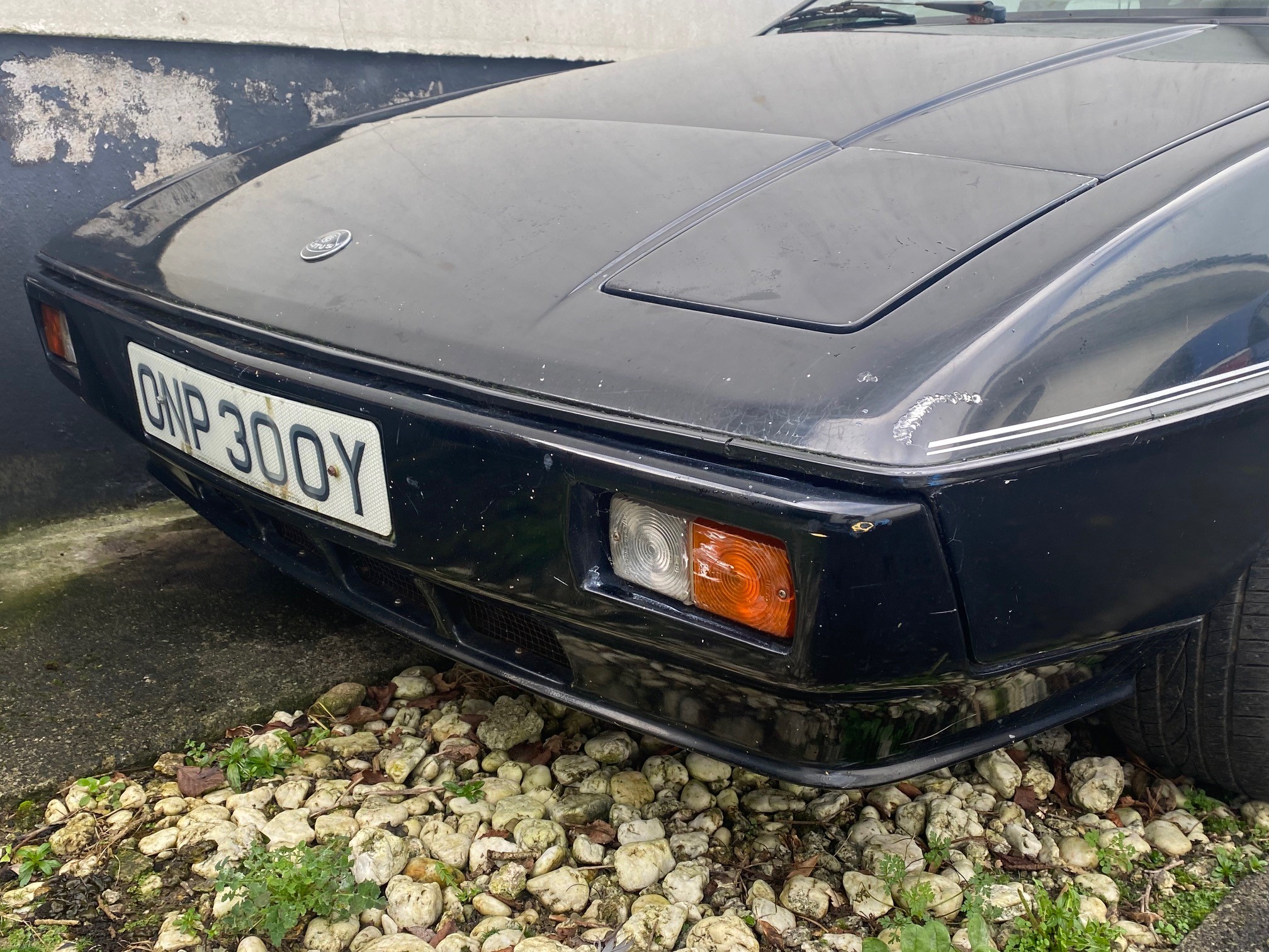 Lot 8 - 1982 Lotus Eclat Excel