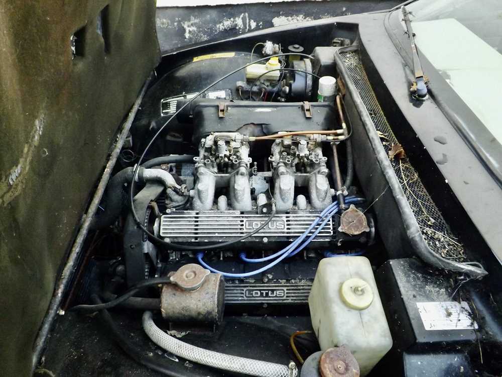 Lot 8 - 1982 Lotus Eclat Excel