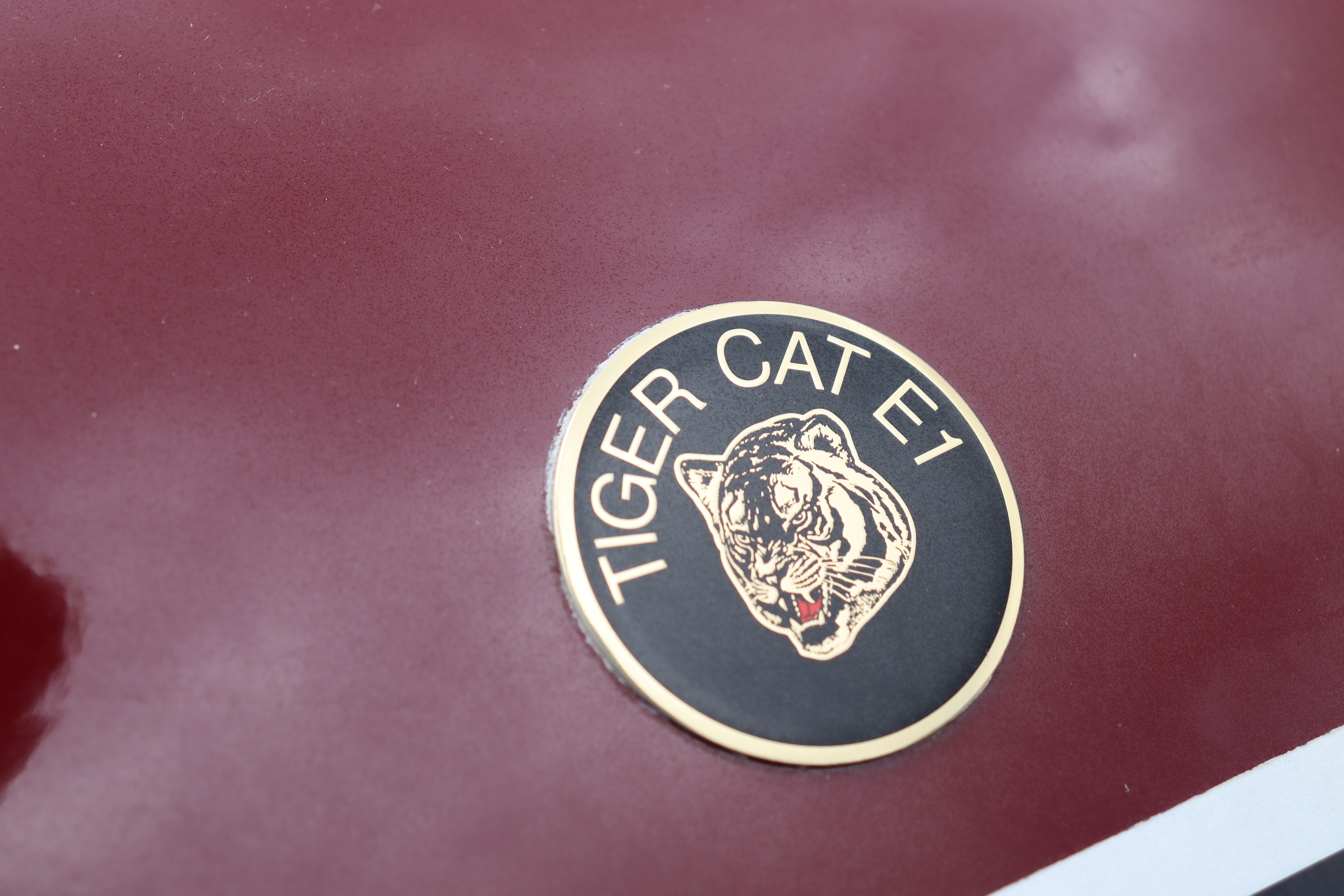 Lot 84 - 1989/2009 Tiger Cat E1