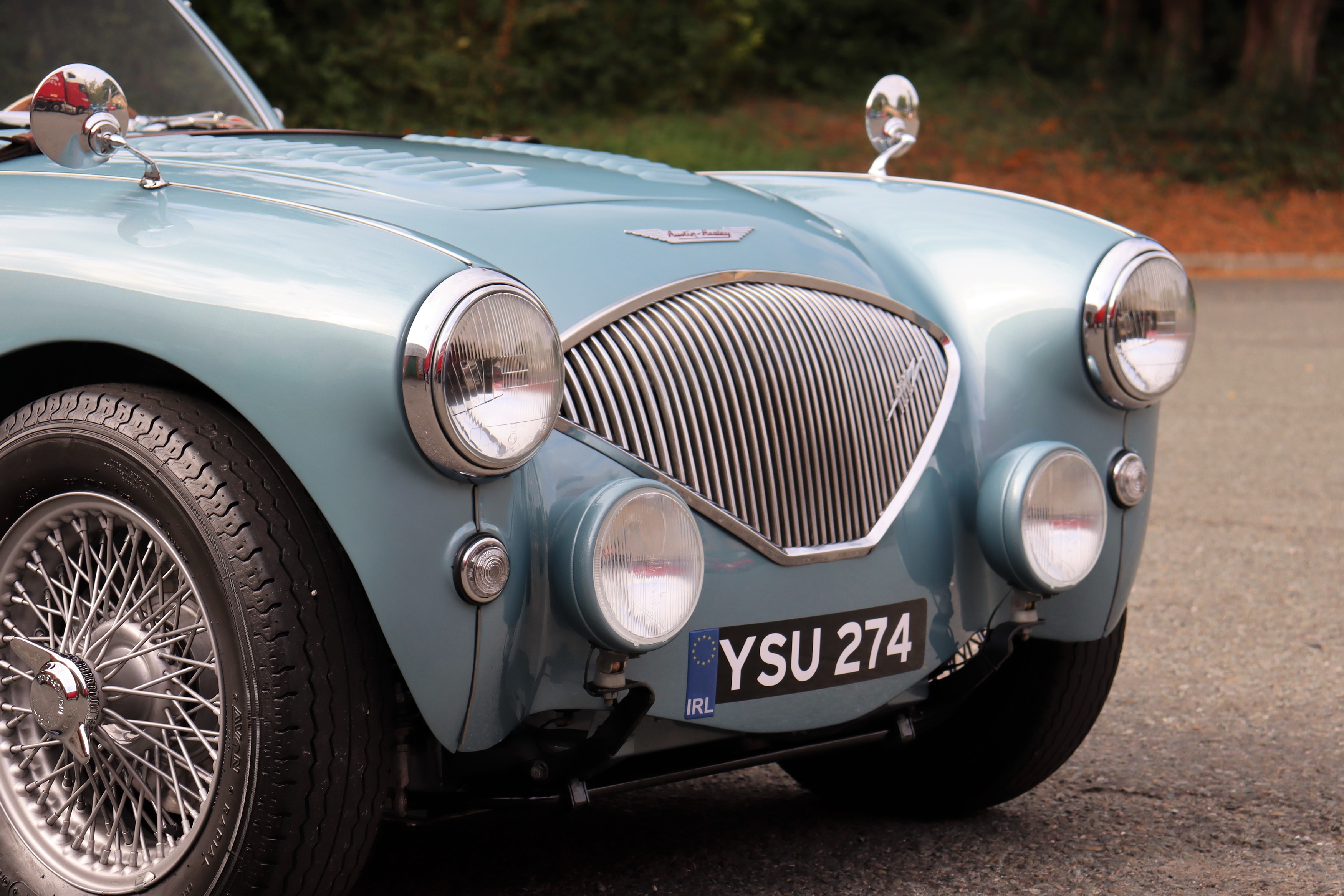 Lot 52 - 1954 Austin Healey 100 Modified to 'M'