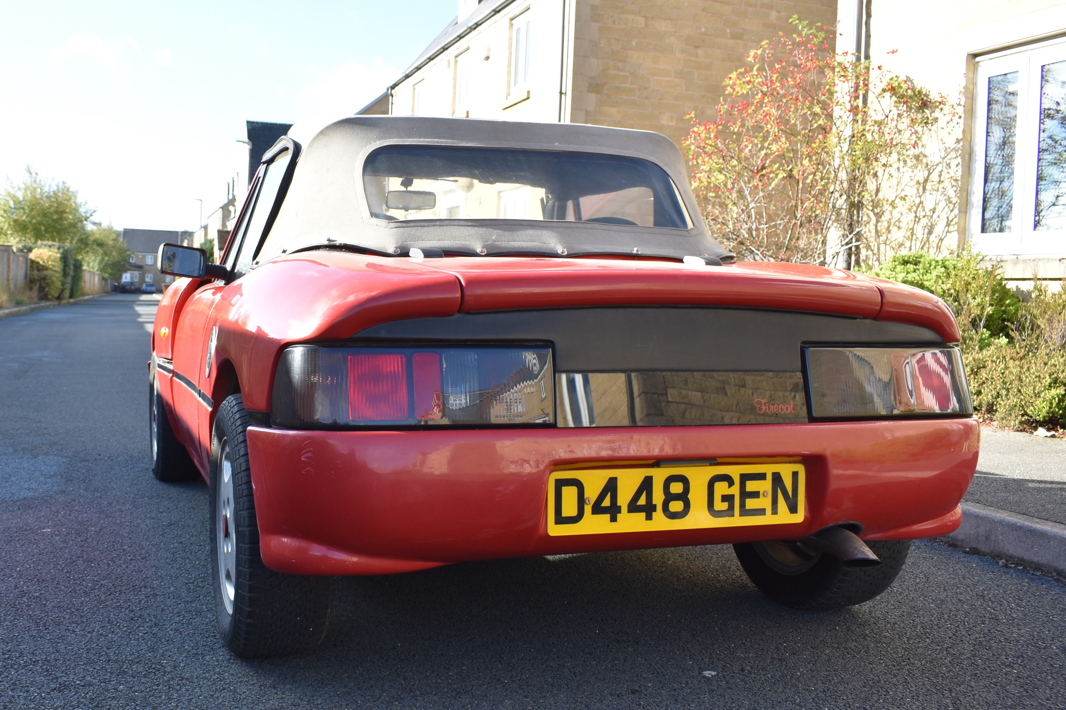 1987 Onyx Firecat