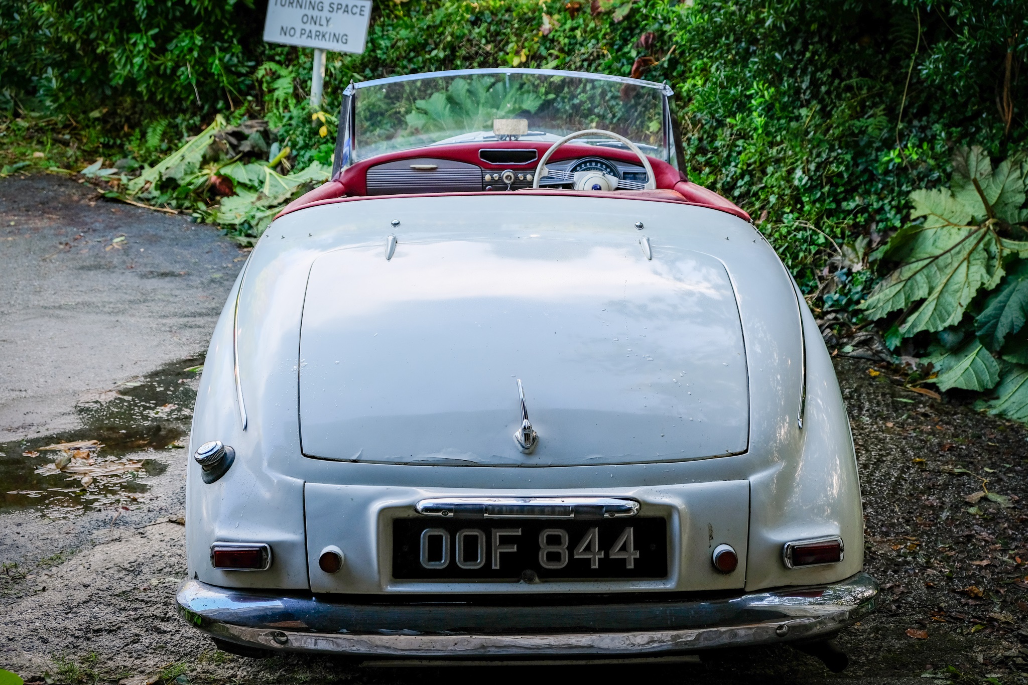 Lot 43 - 1953 Sunbeam Alpine Roadster