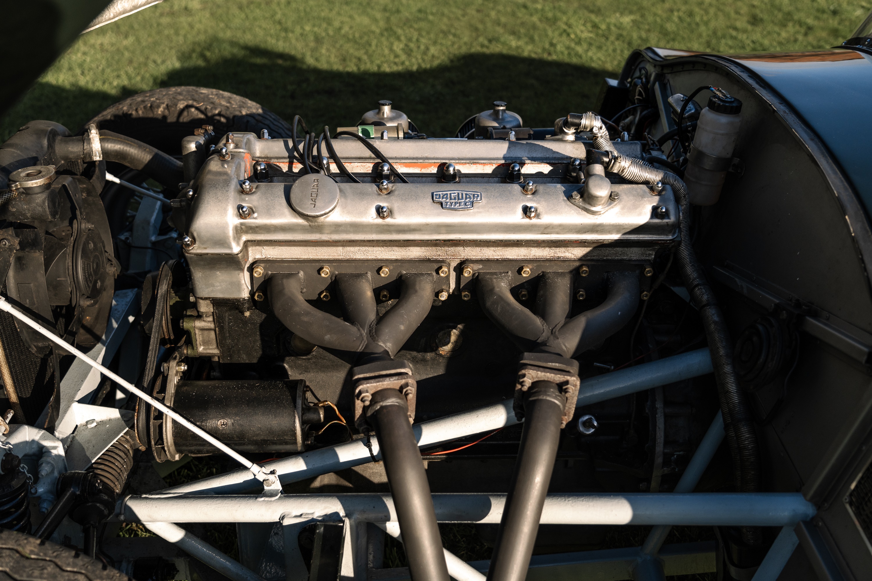 Lot 23 - 1960/1989 Proteus C-Type