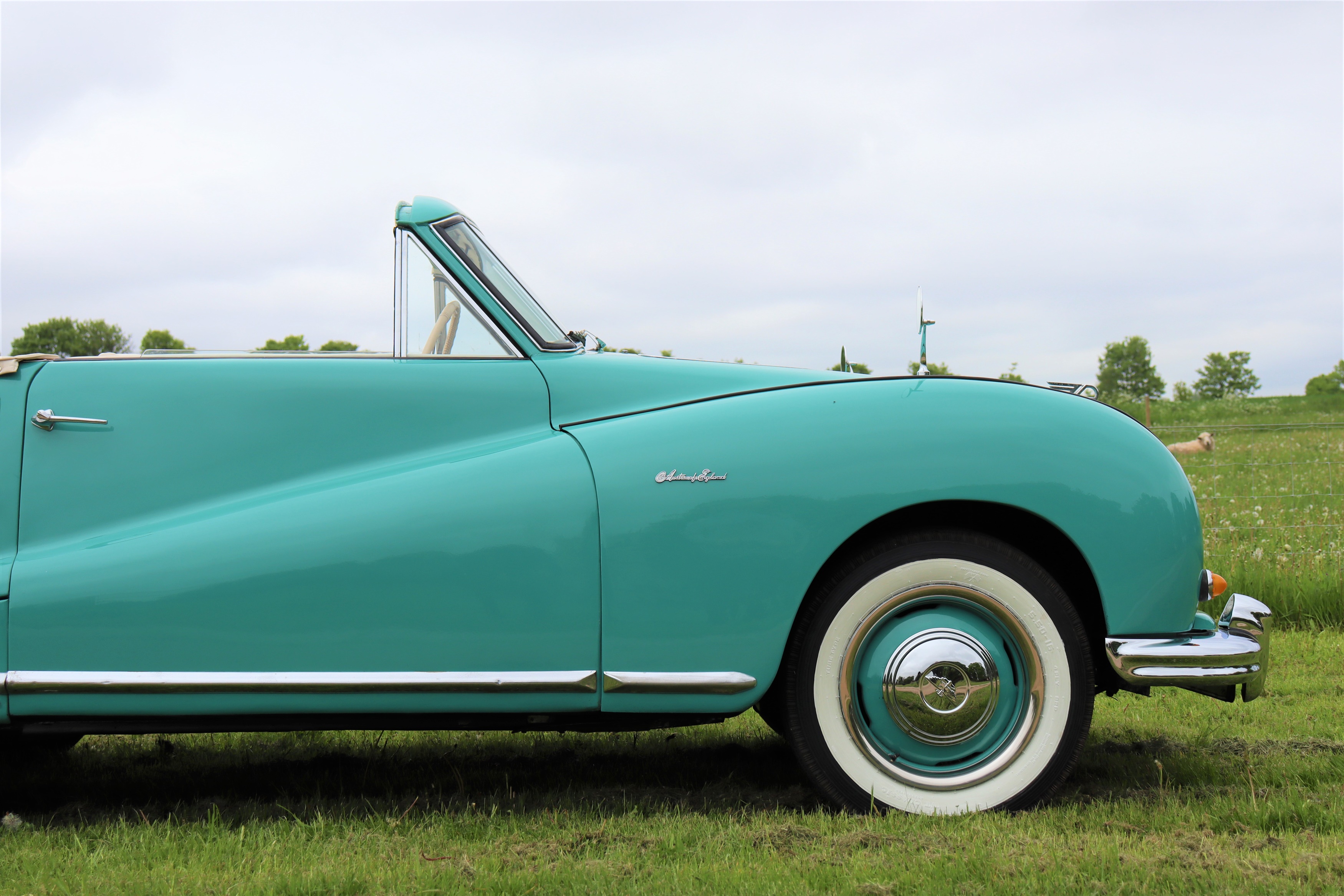 Lot 23 - 1950 Austin A90 Atlantic Convertible