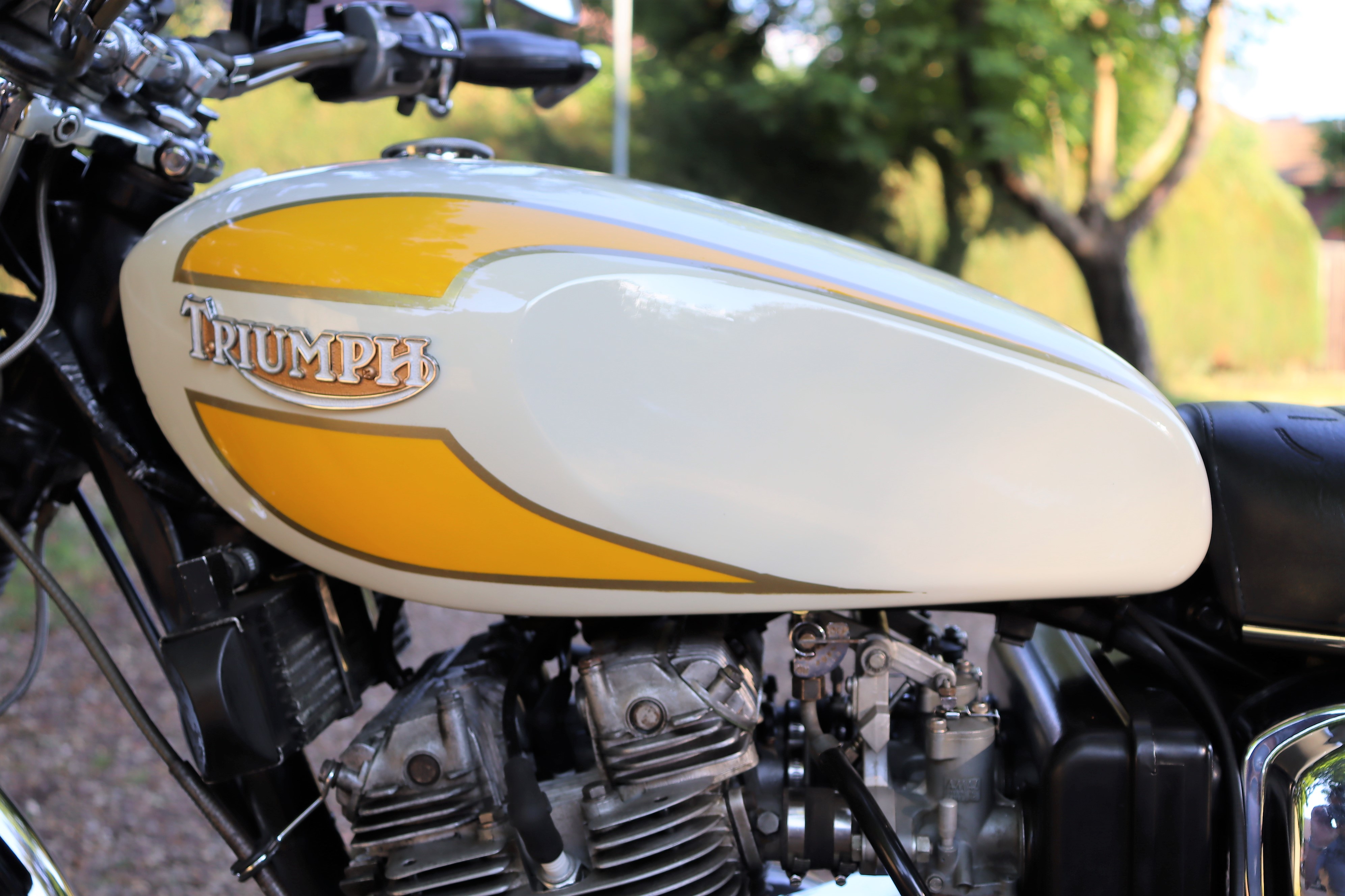 Lot 162 - 1976 Triumph T160