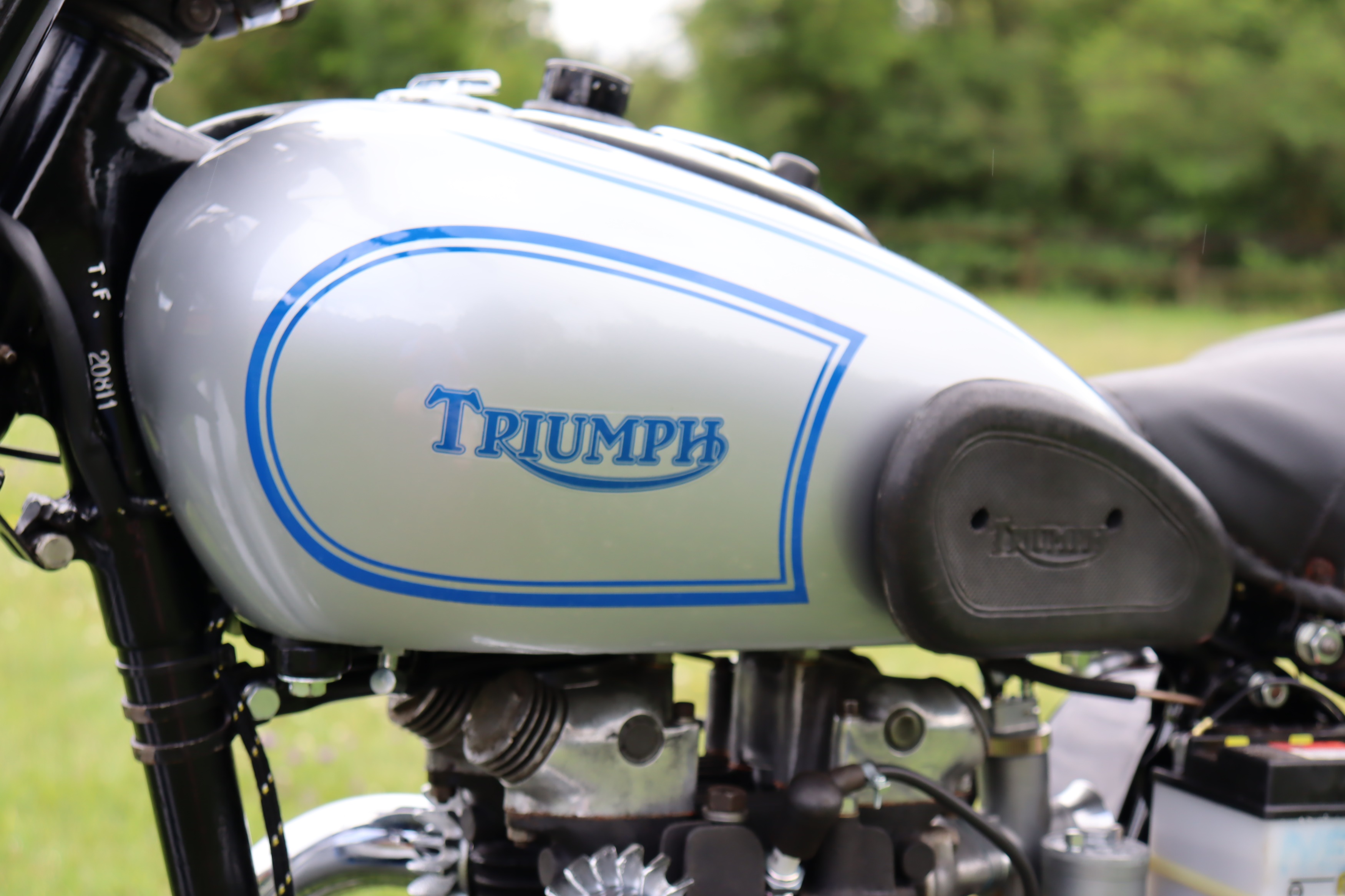 Lot 230 - 1948 Triumph Tiger 100
