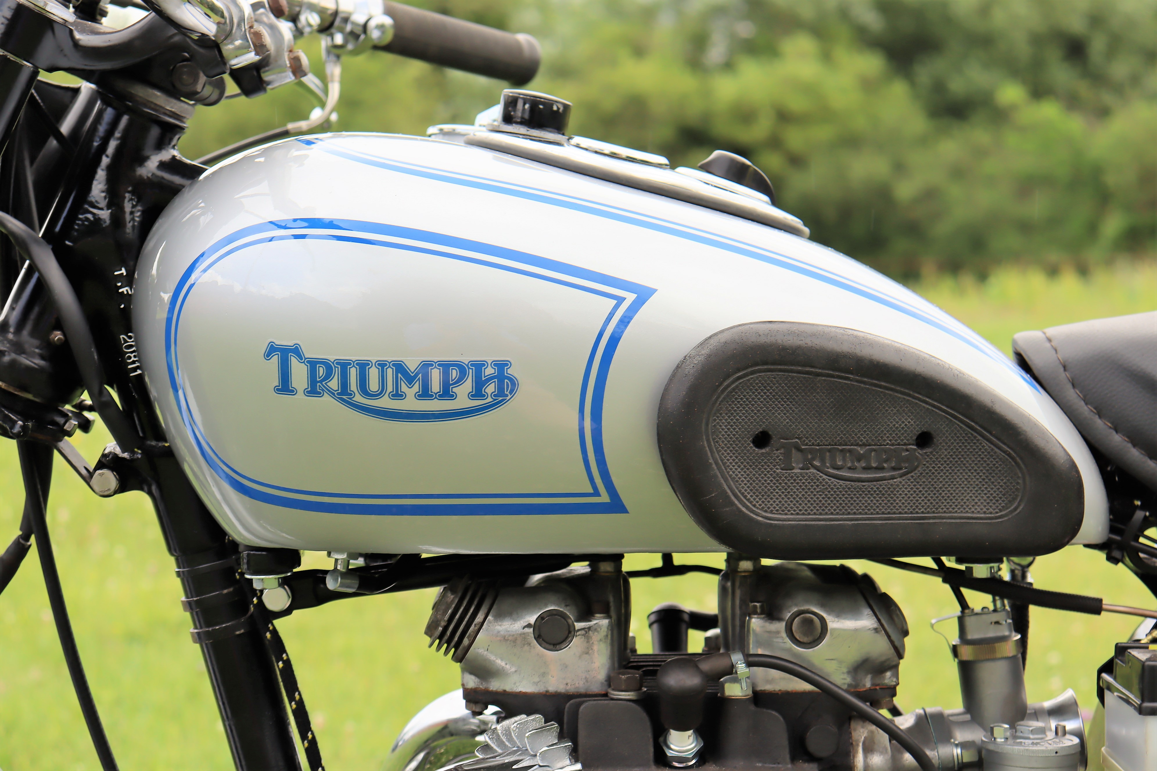 Lot 230 - 1948 Triumph Tiger 100